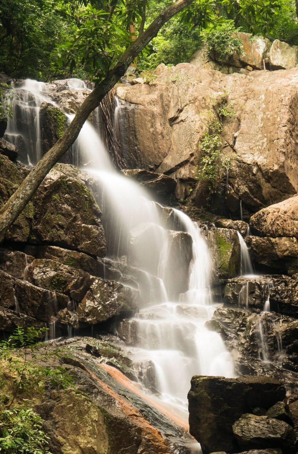 Explore Maredumilli | Resorts, Gudisa Trekking & Nature Escapes